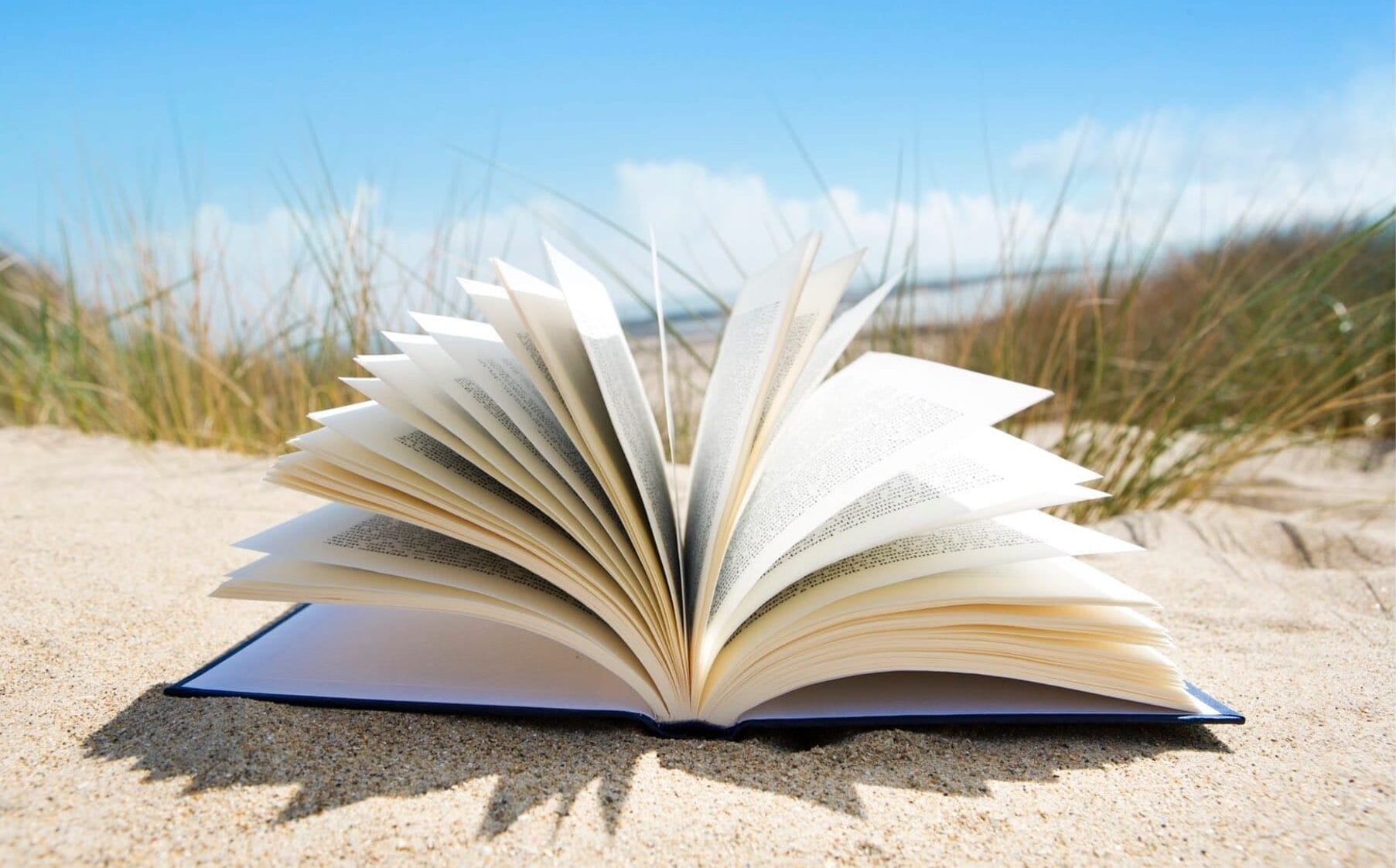 Alumni Book Roundup: Summer 2024 - Wharton Magazine